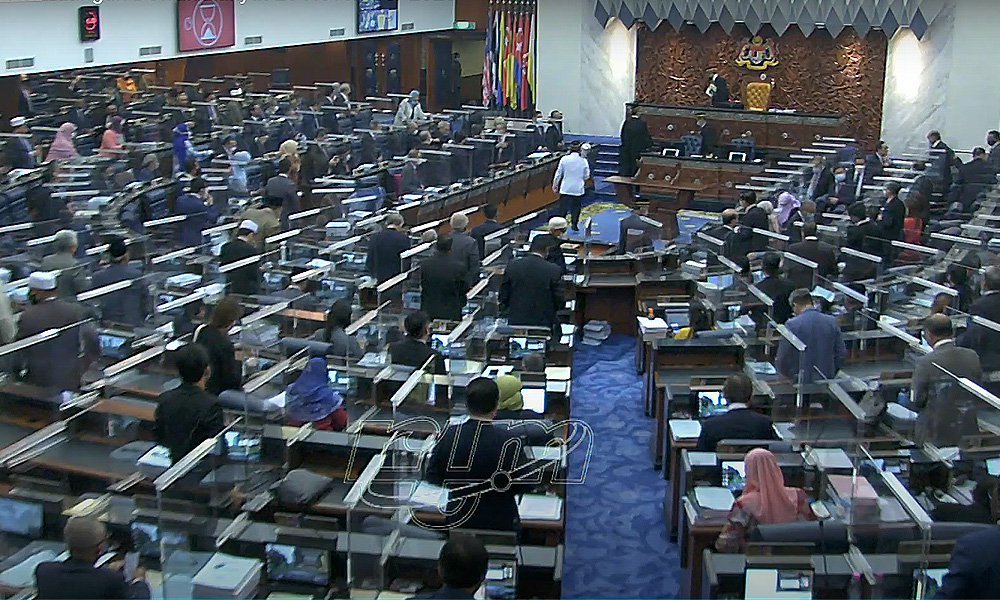 Wong Chen: 'Real democracy happens in parliamentary select committees'