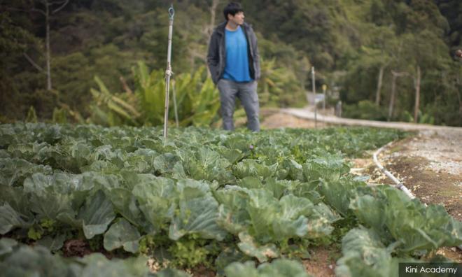 Waktu operasi jejaskan petani, peniaga sayur di Cameron Highlands - Adun
