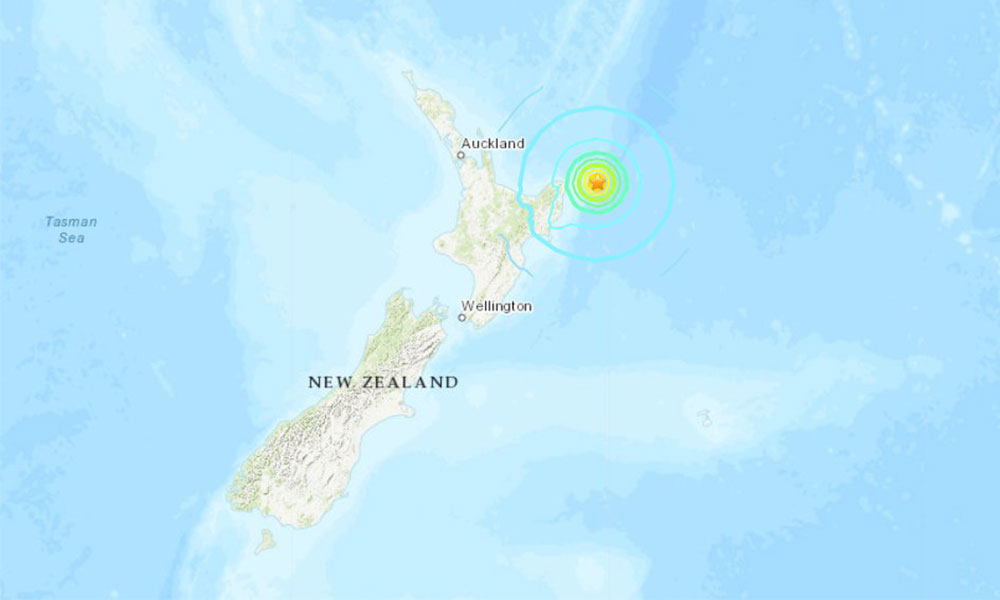 New Zealanders evacuated after earthquakes trigger tsunami warnings