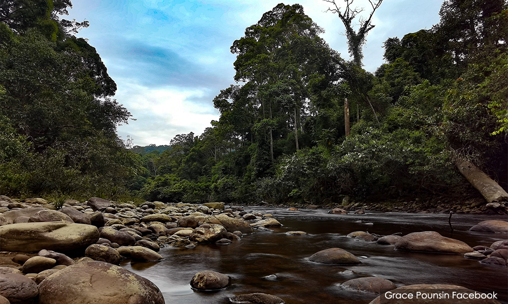 Maliau Basin, the almost untouched ‘lost world of Sabah’