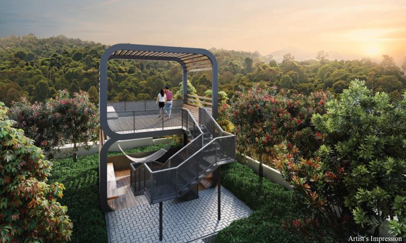 Forest living in the city – the best of both worlds