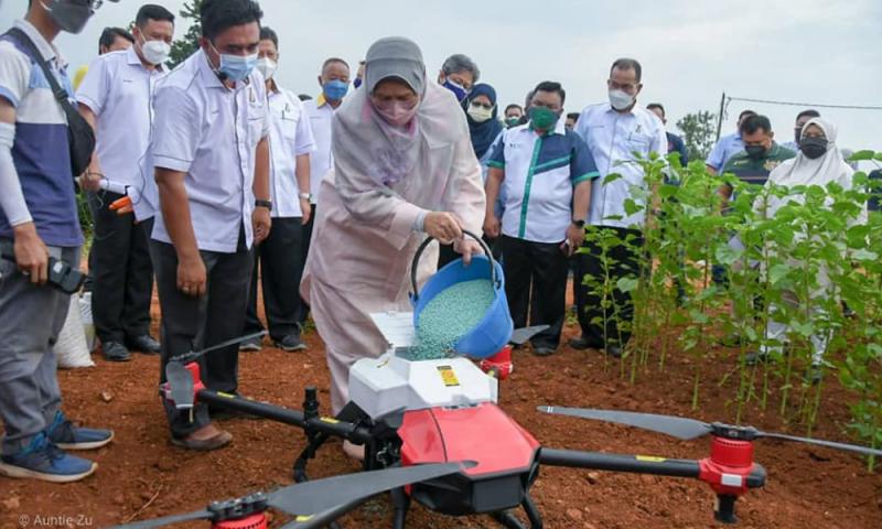 Sektor perladangan sawit akan terima 32,000 pekerja asing