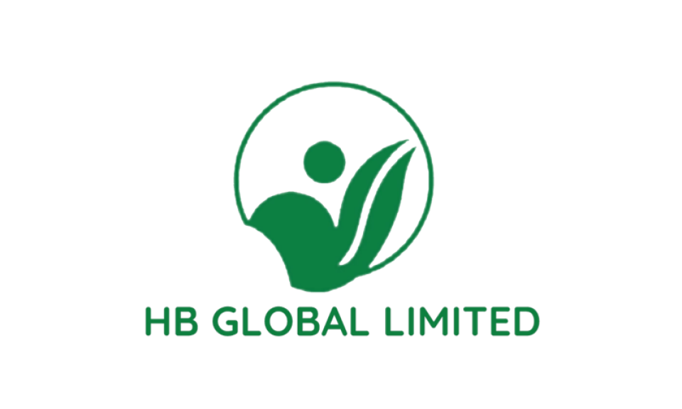 HB Global set-ups new subsidiary HBIT to deliver seamless Vertical ...